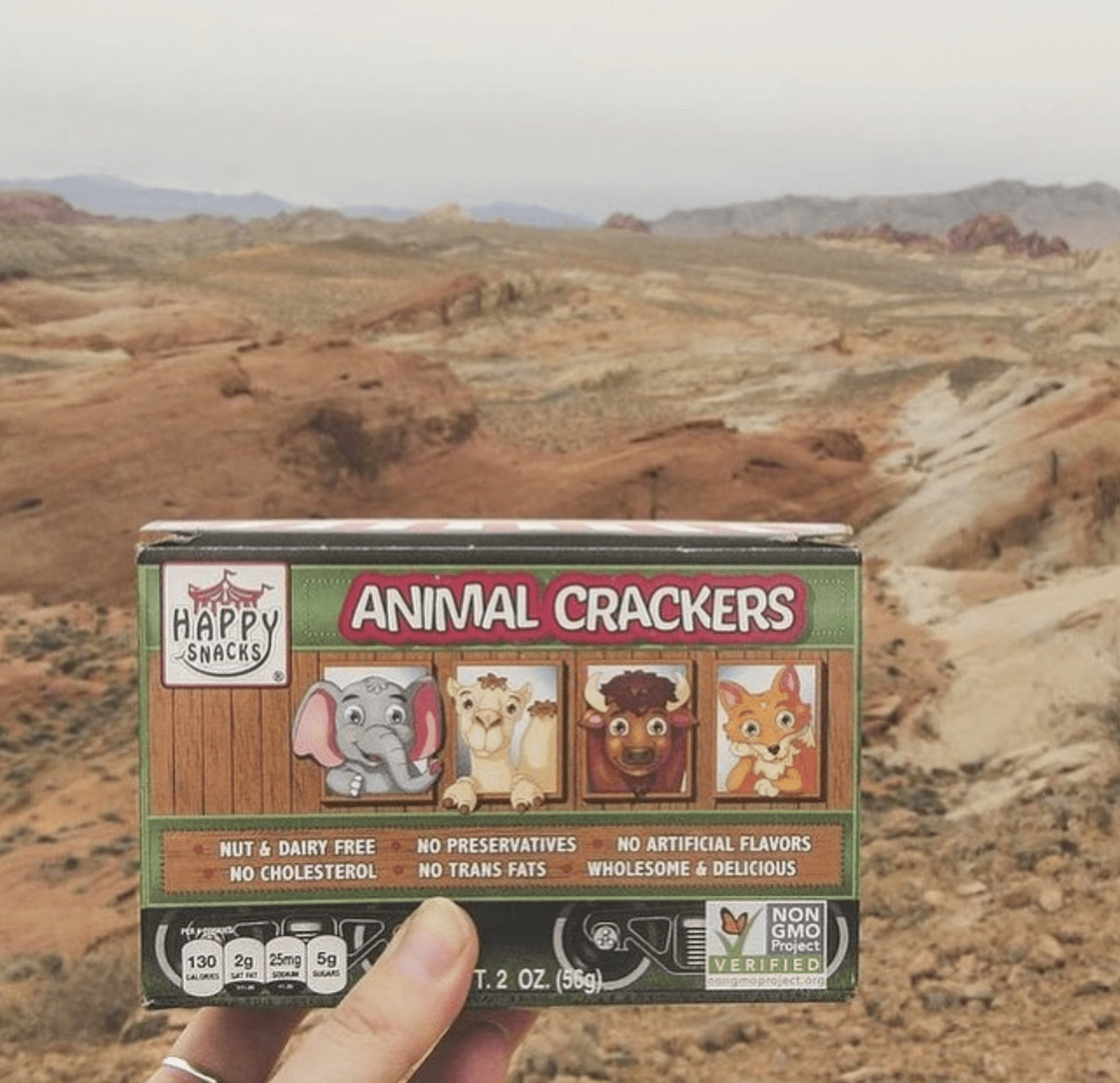 Market Square Food Company - Screendollars