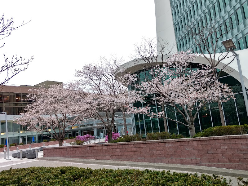 AMC Landmark 8 - Showtimes - Screendollars