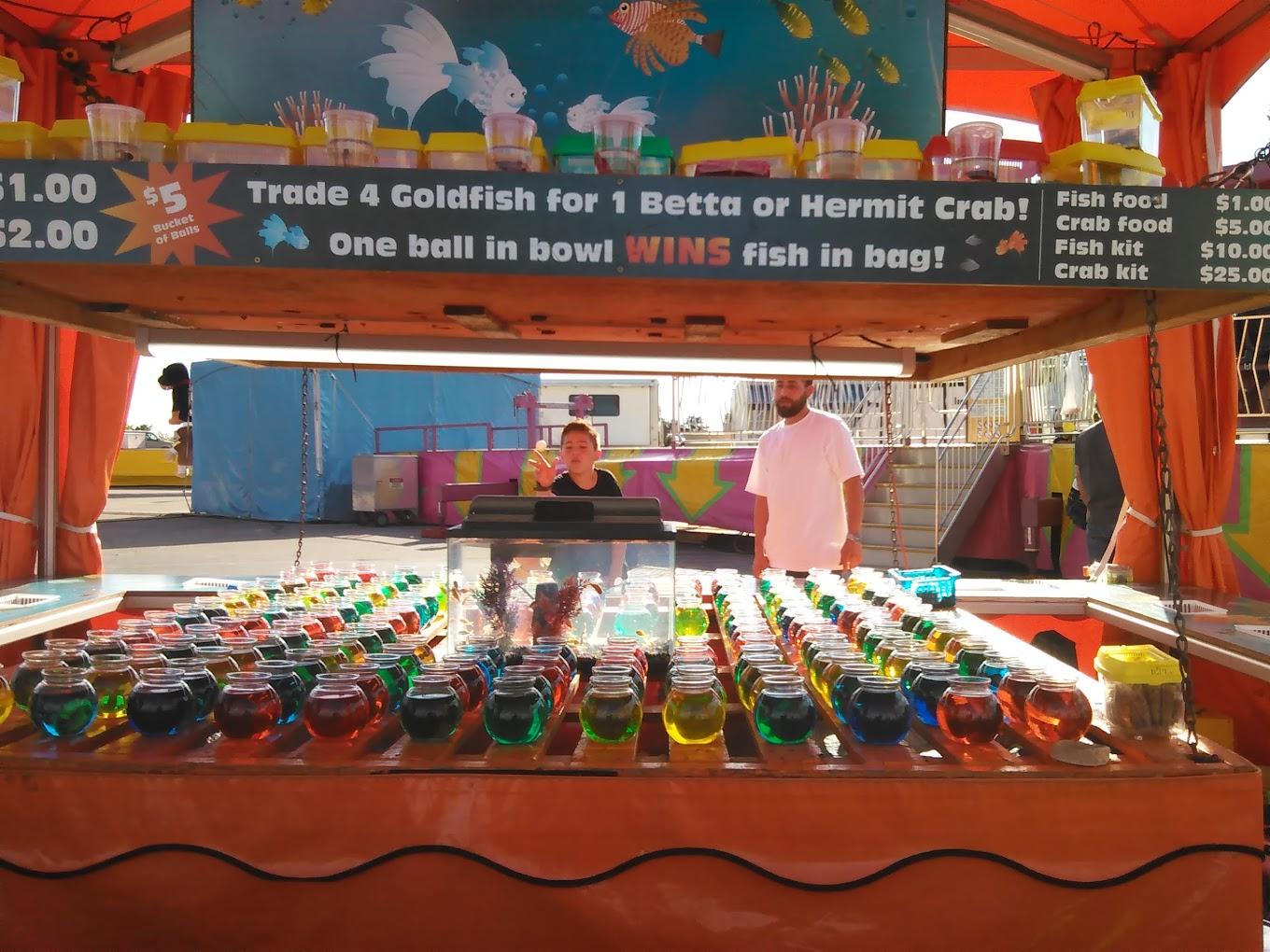 D-Max Cinema in Gainesville - Showtimes & Tickets