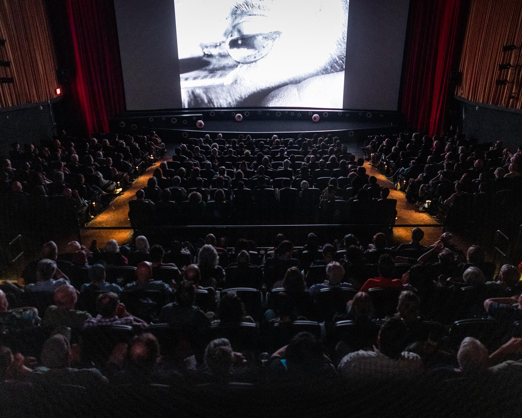 The Loft Cinema - Showtimes & Tickets