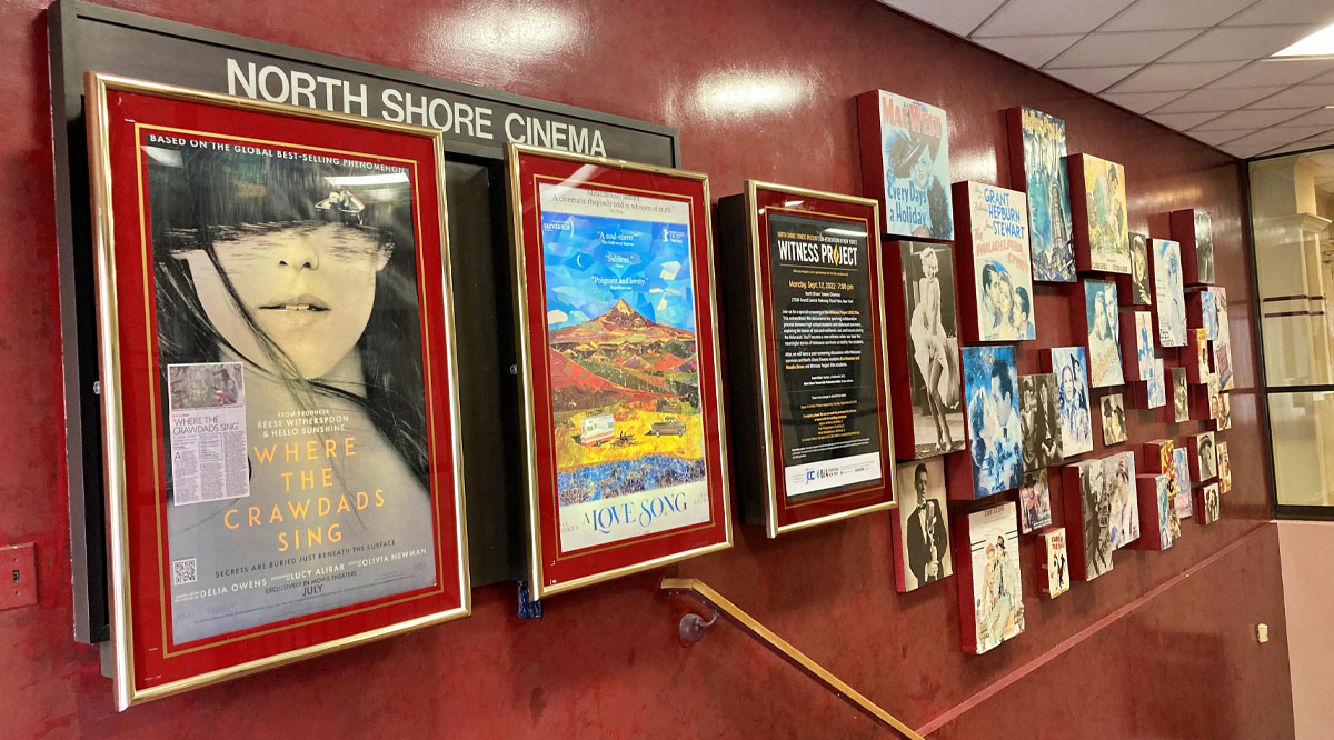 North Shore Towers Movies