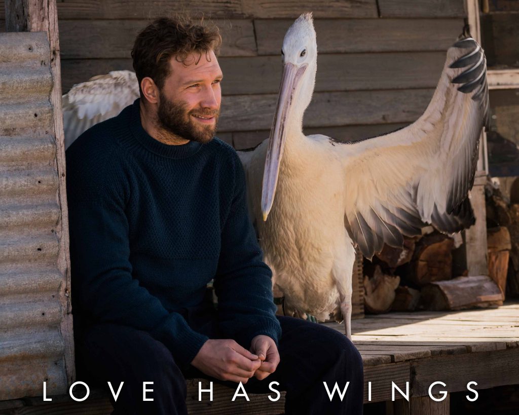 Storm Boy (2019) - Trailers, Movie Cast, & Showtimes