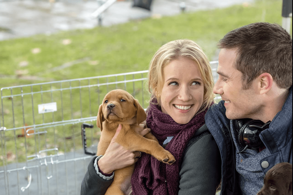 Luke Macfarlane: Biography, Movies, Net Worth & Photos